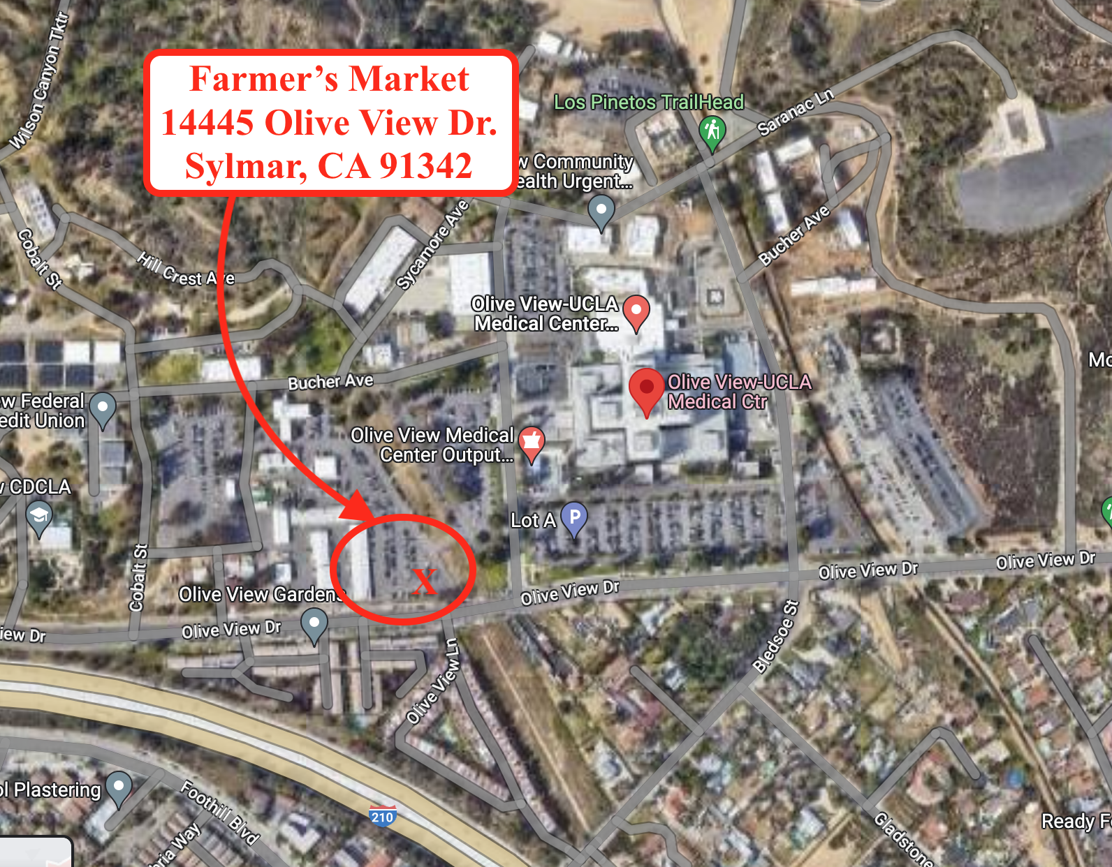FRIDAY, March 10th, 9:00am to 2:00pm