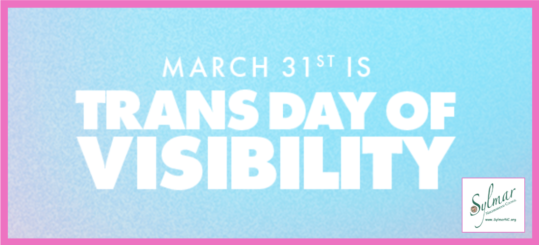 March 31st â€¢ Trans Day of Visibility