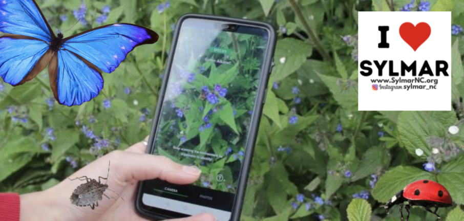 Have a Plant or Bug and want to know what it is?